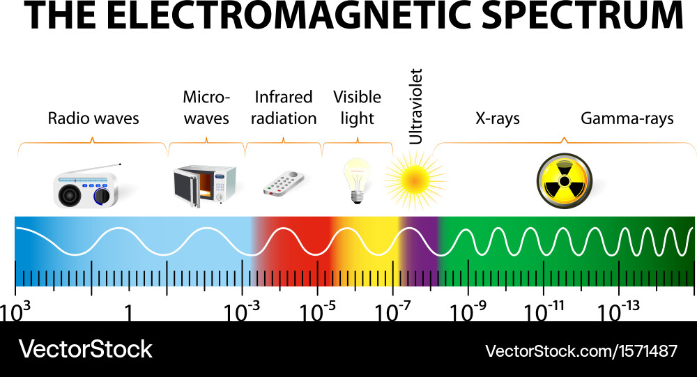 Electromagnetic spectrum diagram Royalty Free Vector Image