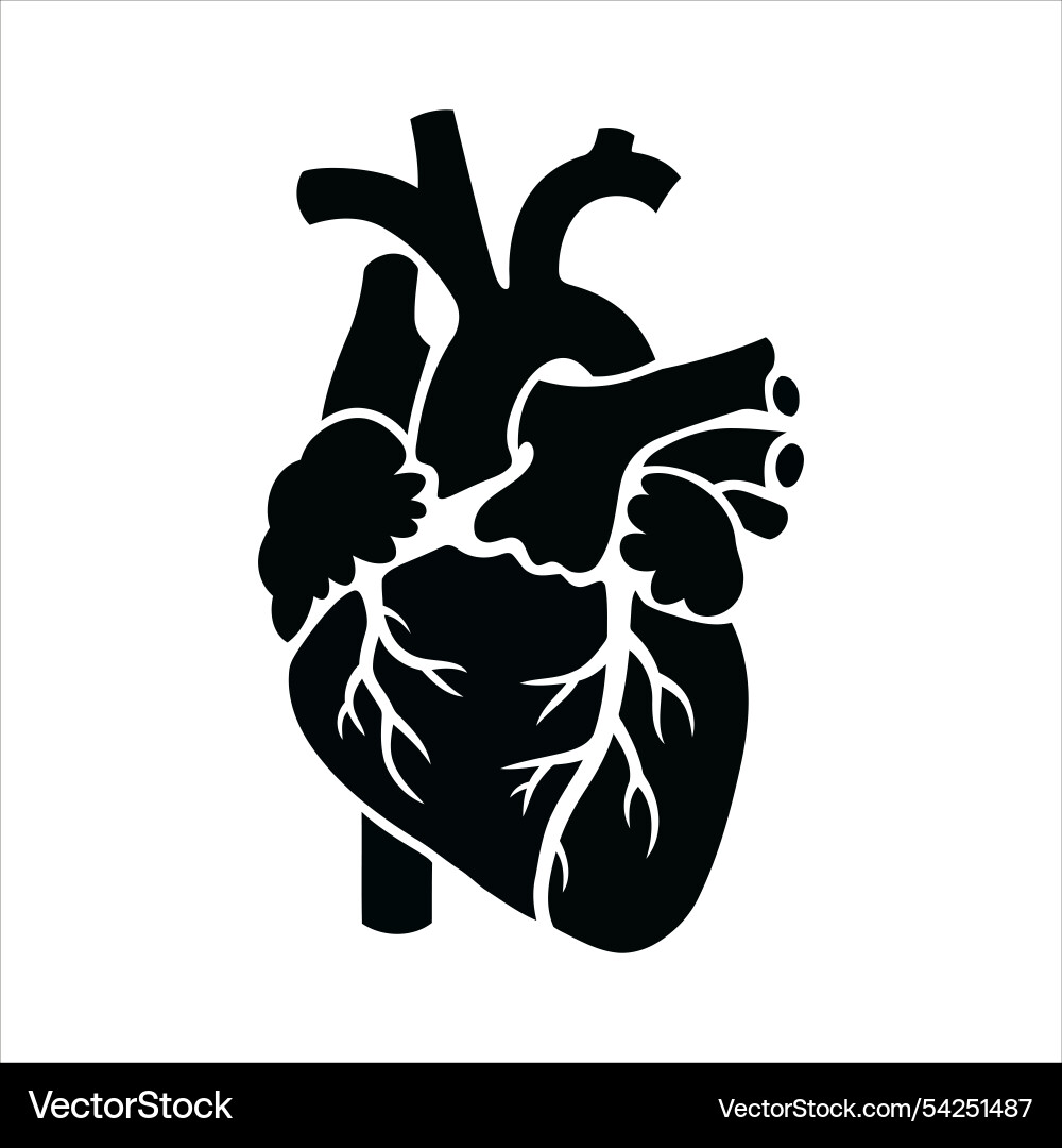 Heart with veins silhouette Royalty Free Vector Image