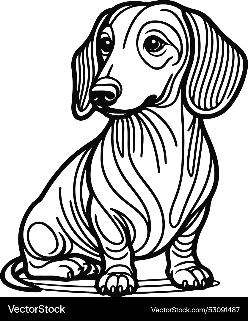 Line art dachshund dog continuous drawing Vector Image