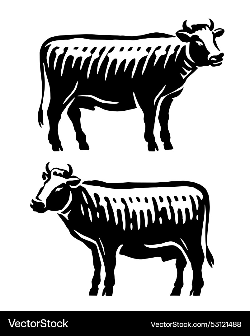 Bull side view silhouette farm cattle animal Vector Image