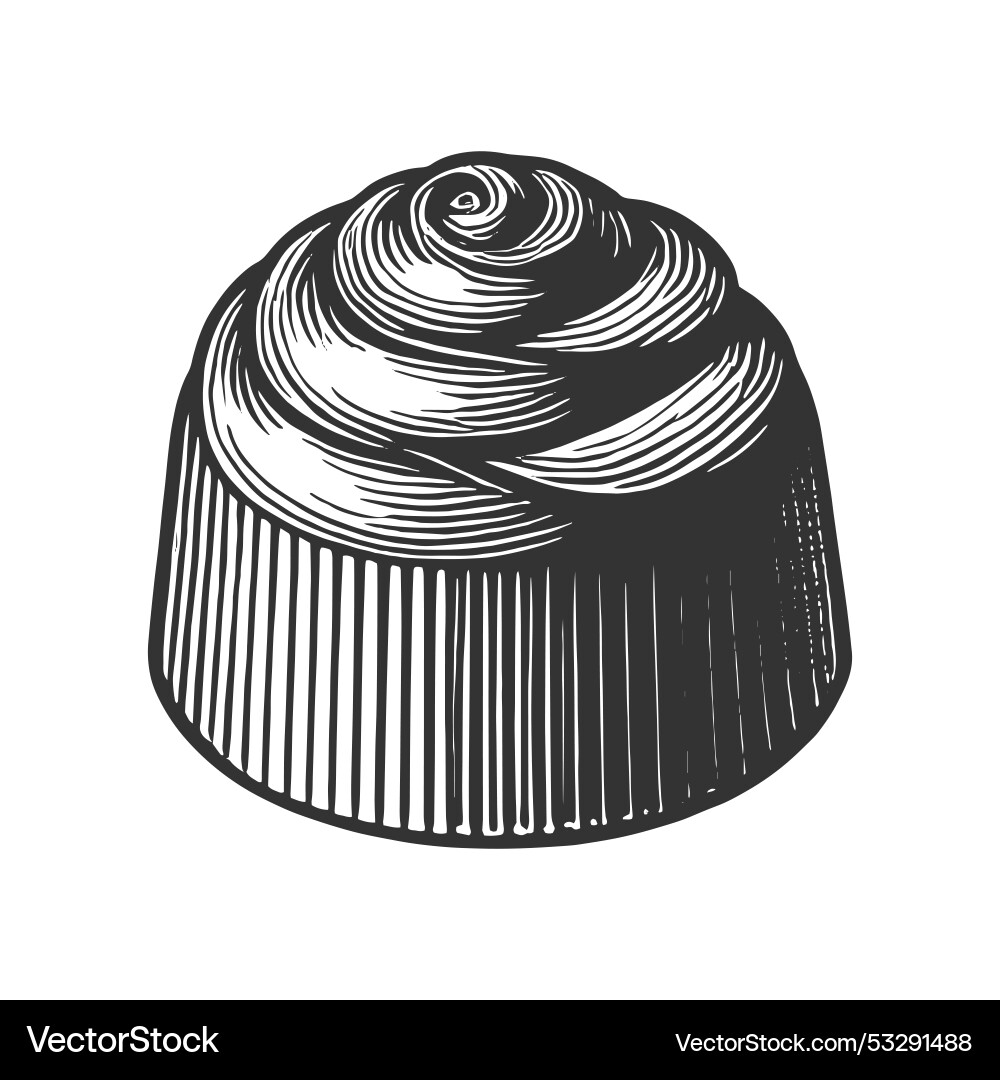 Chocolate truffle Royalty Free Vector Image - VectorStock