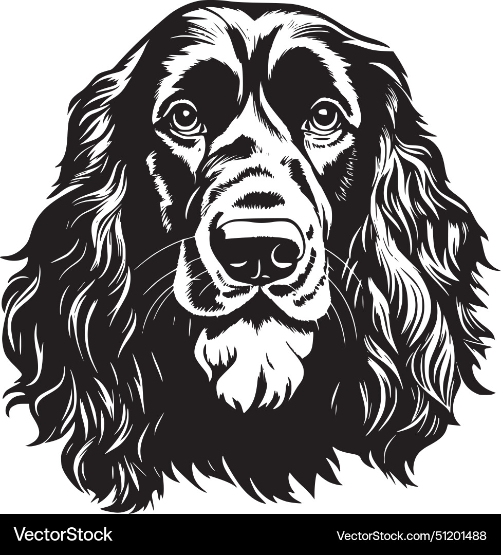 Cocker spaniel - minimalist and simple silhouette Vector Image