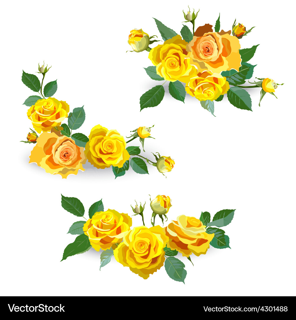 Floral background with yellow roses Royalty Free Vector