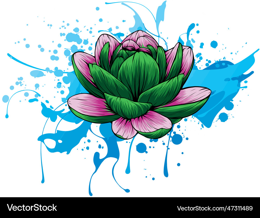 Lily lotus isolated Royalty Free Vector Image - VectorStock