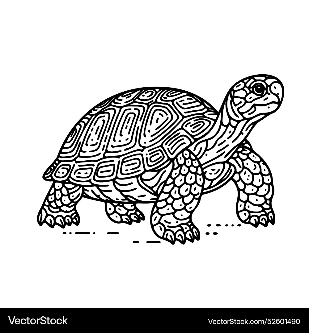 A turtle is walking on the ground Royalty Free Vector Image