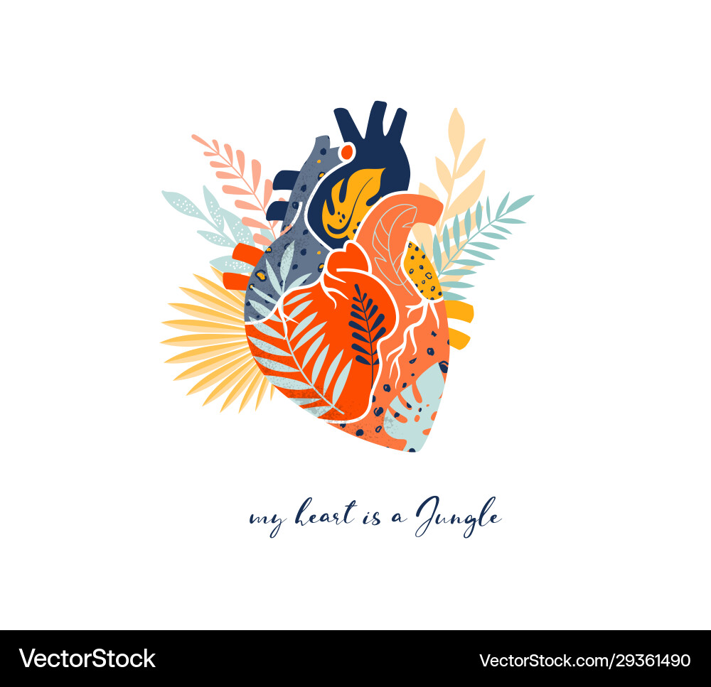 Anatomical heart modern print design art work Vector Image