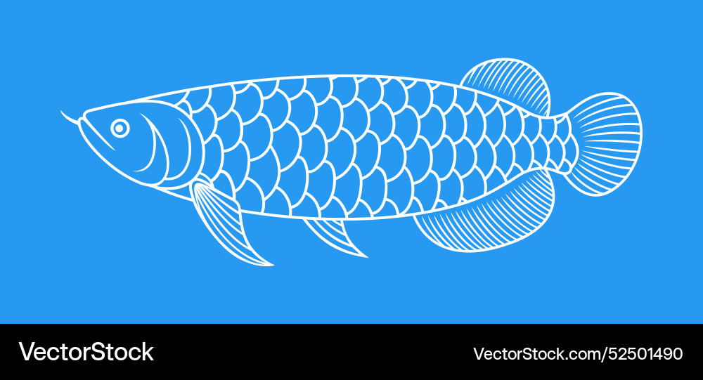 Dragon fish Royalty Free Vector Image - VectorStock