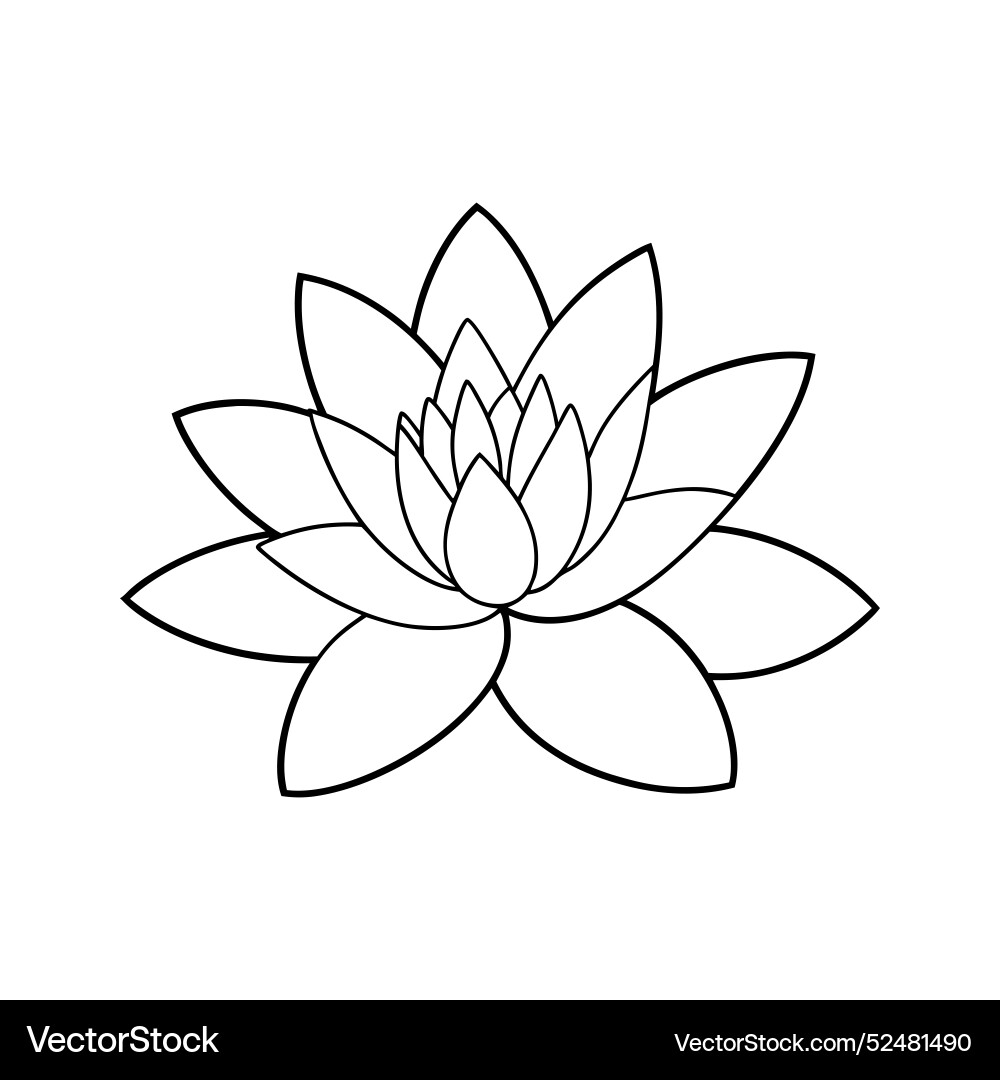 Water lili icon Royalty Free Vector Image - VectorStock