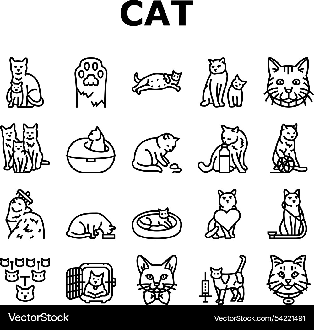 Cat breeding genetics cattery icons set Royalty Free Vector