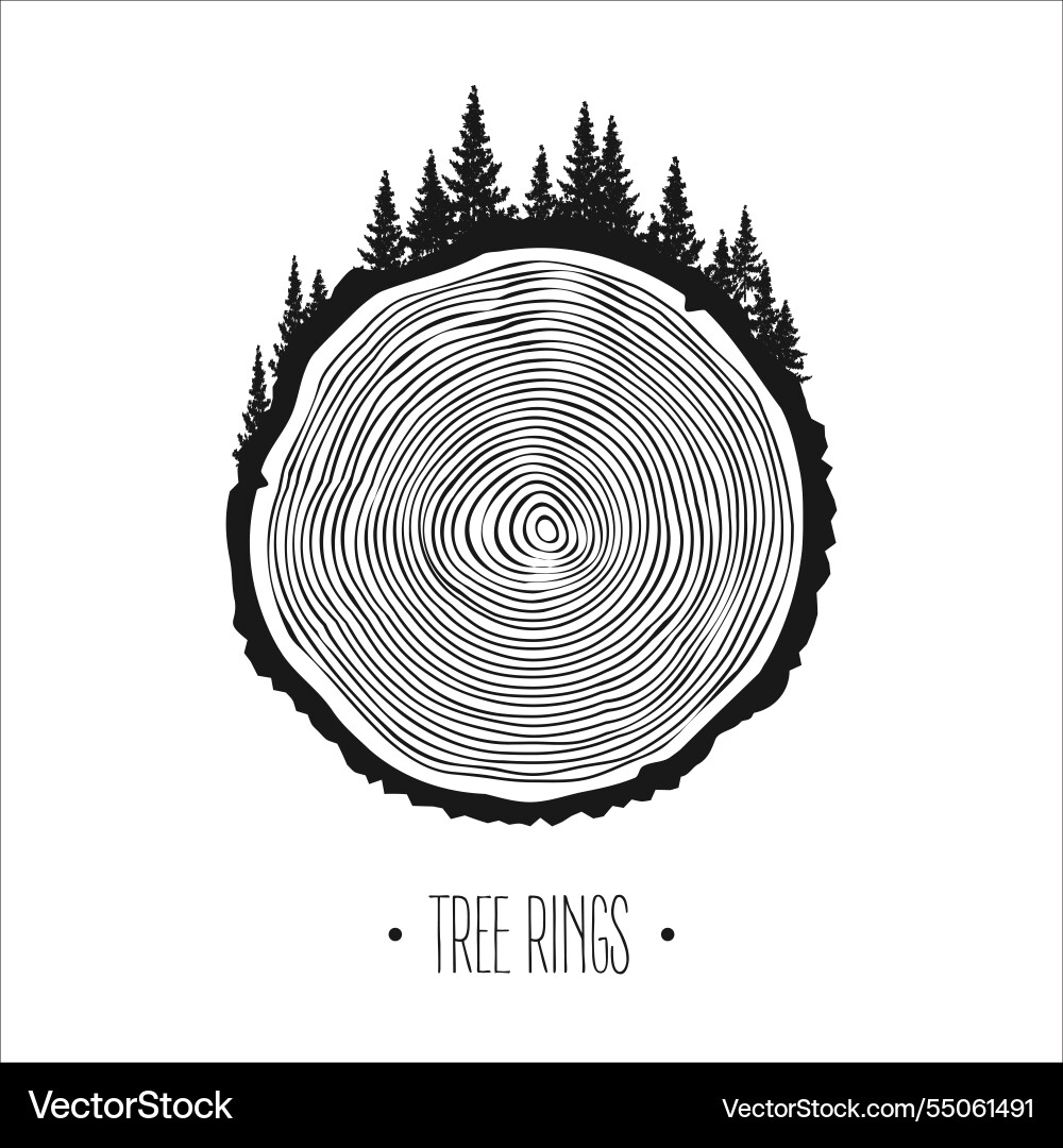 Round tree trunk cut with trees and forest sawn Vector Image