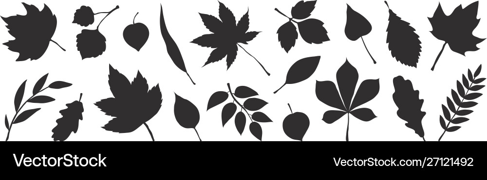 Black autumn leaves decorative fall elements Vector Image