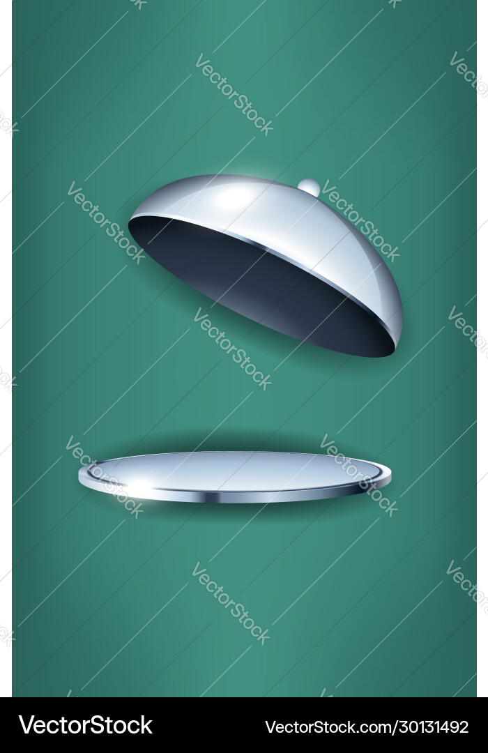 Cook plate Royalty Free Vector Image - VectorStock