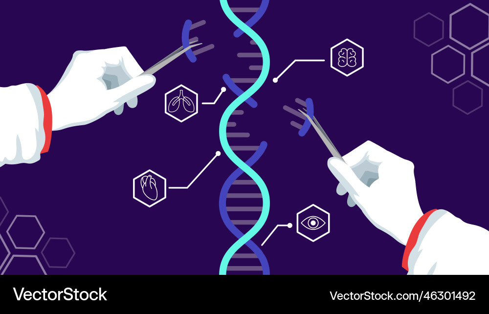 Dna edit baby genetic sequence crispr gene Vector Image