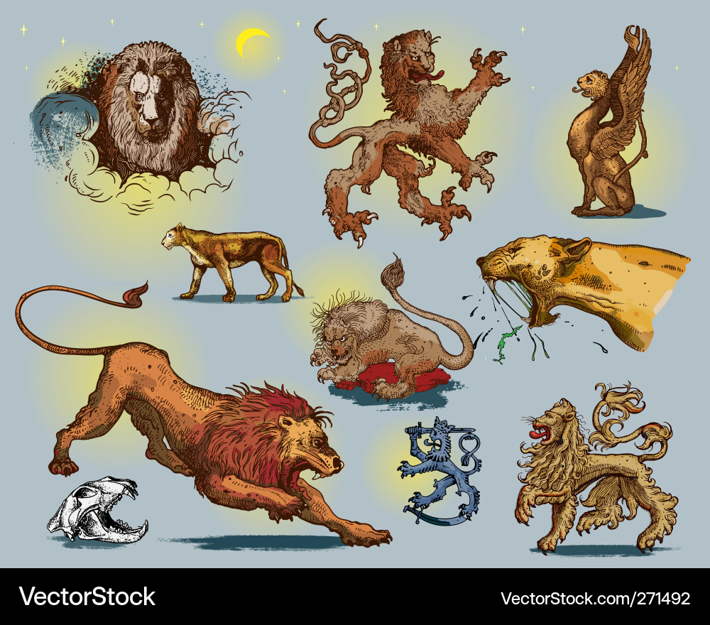 Lions Royalty Free Vector Image - VectorStock