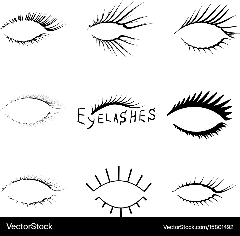 Realistic eyelash textures Royalty Free Vector Image