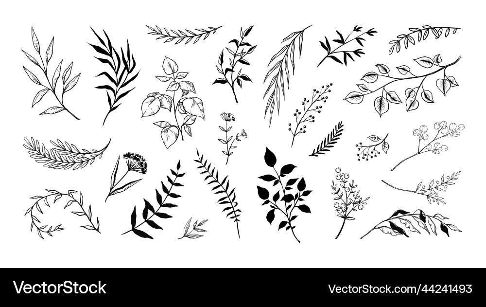 Hand drawn leaf outline plants set sketch Vector Image