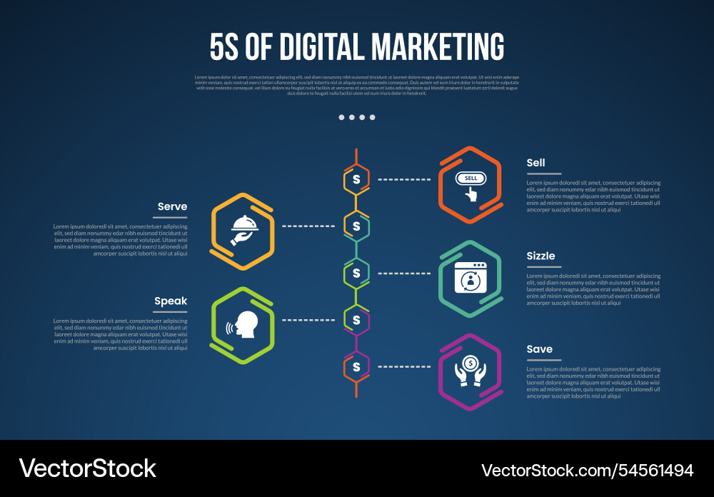 5s digital marketing infographic template Vector Image