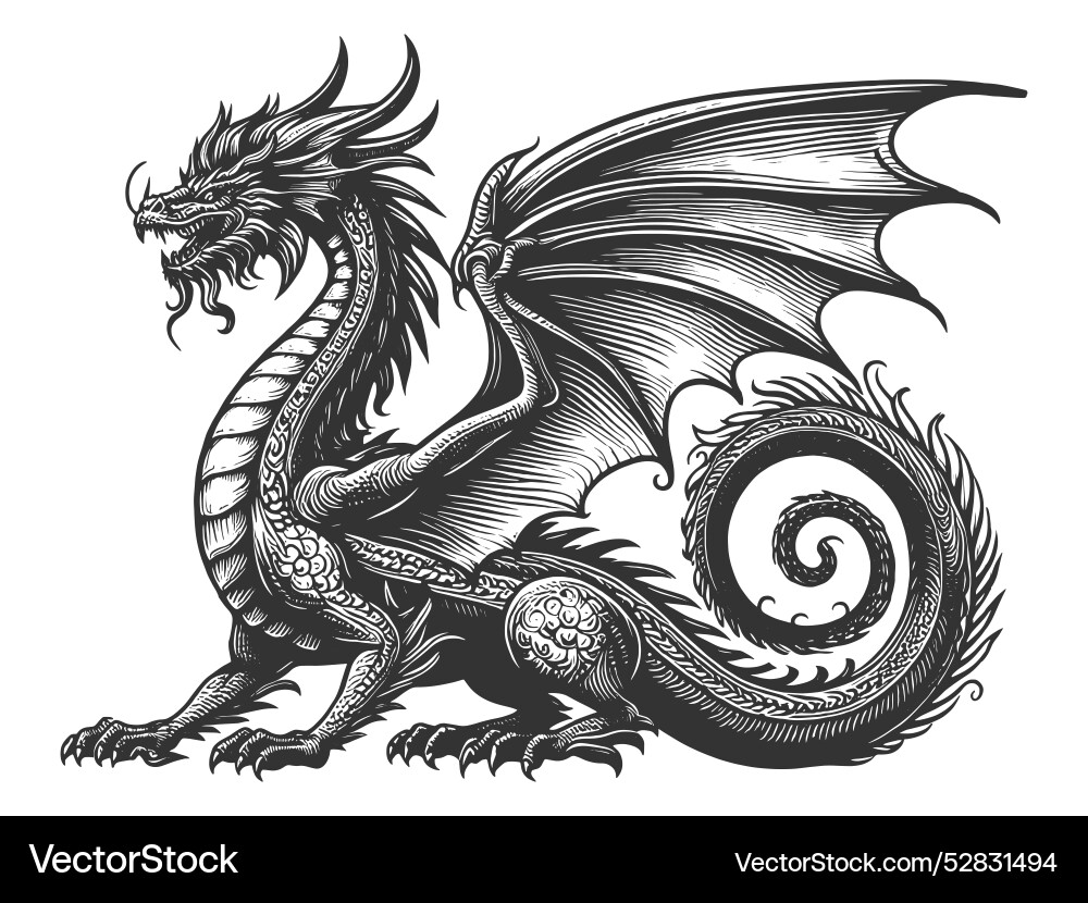 Intricate dragon engraving Royalty Free Vector Image