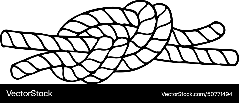 Rope knot drawing sailor tied cord string Vector Image