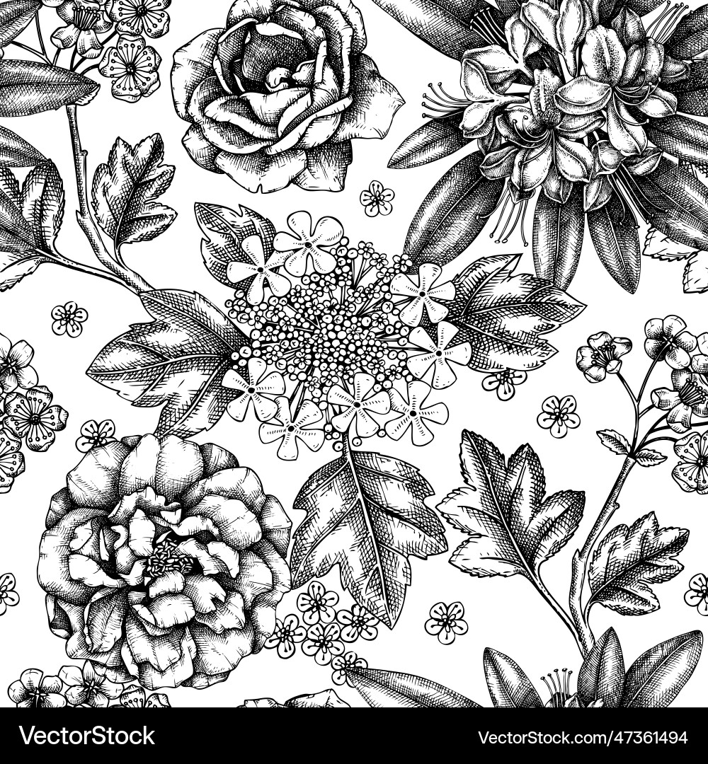 Vintage Botanical Floral Pattern Royalty Free Vector Image
