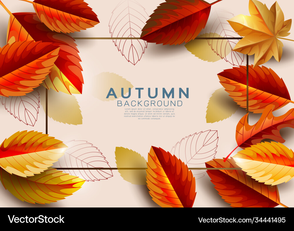 Autumn background decorate with fall leaves Vector Image