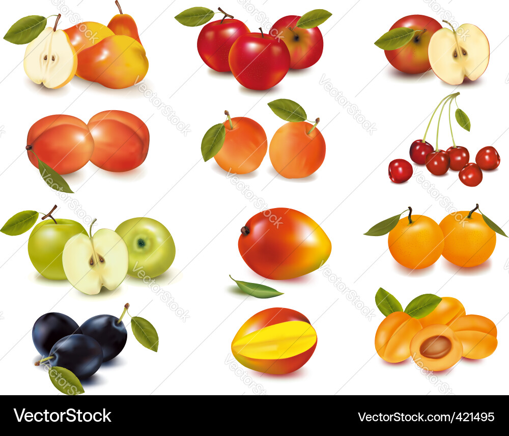 Big group of apples Royalty Free Vector Image - VectorStock