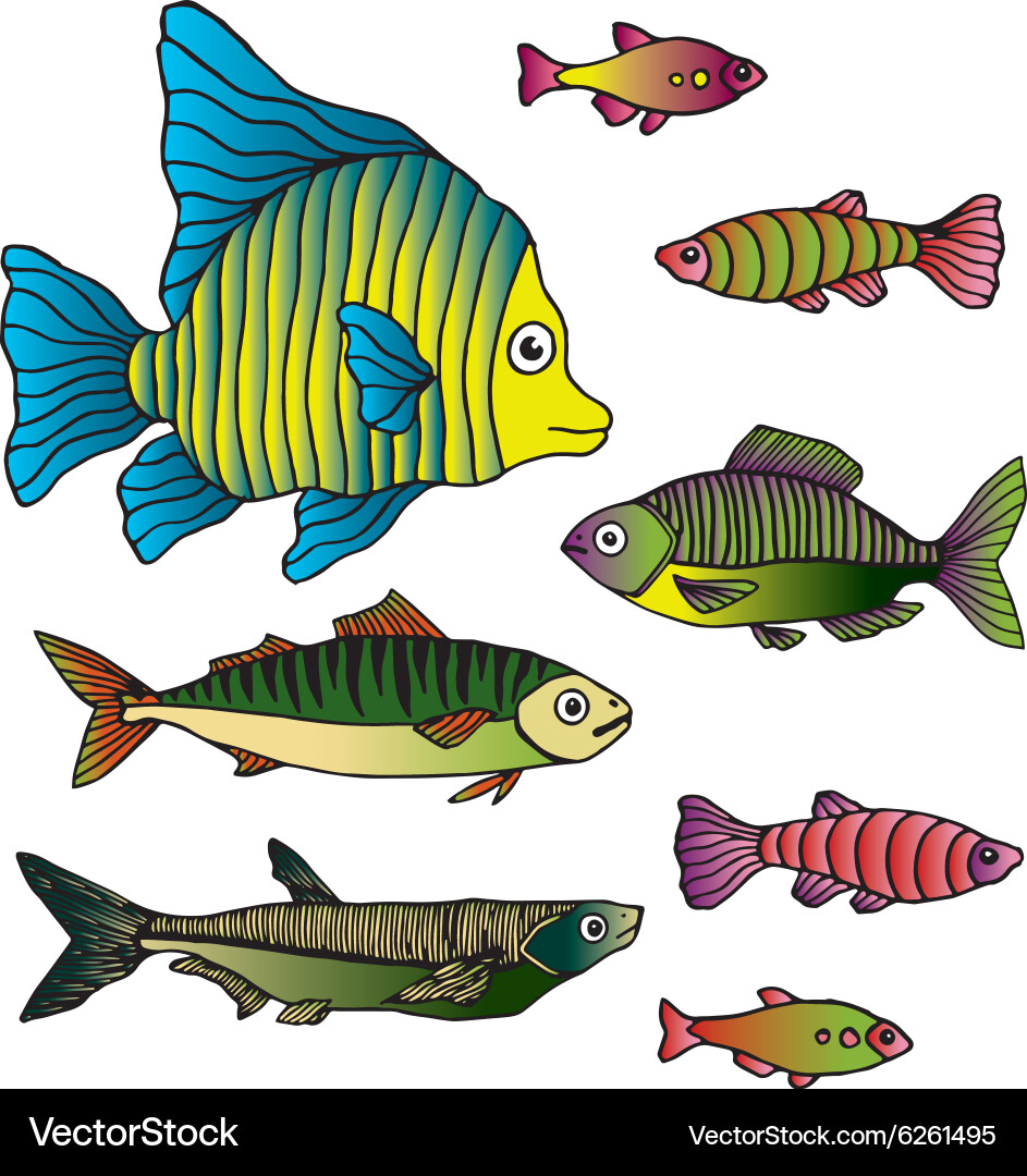 Cute fish on transparent background Royalty Free Vector