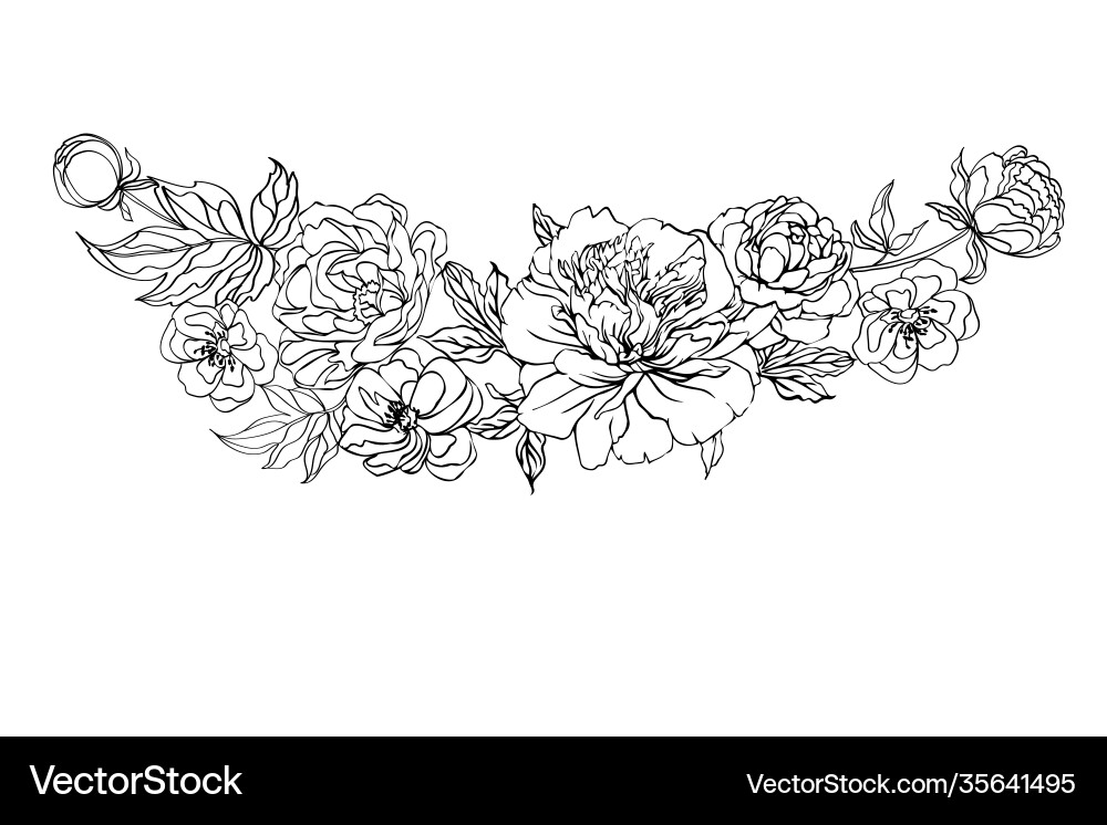 Hand drawn rose Royalty Free Vector Image - VectorStock