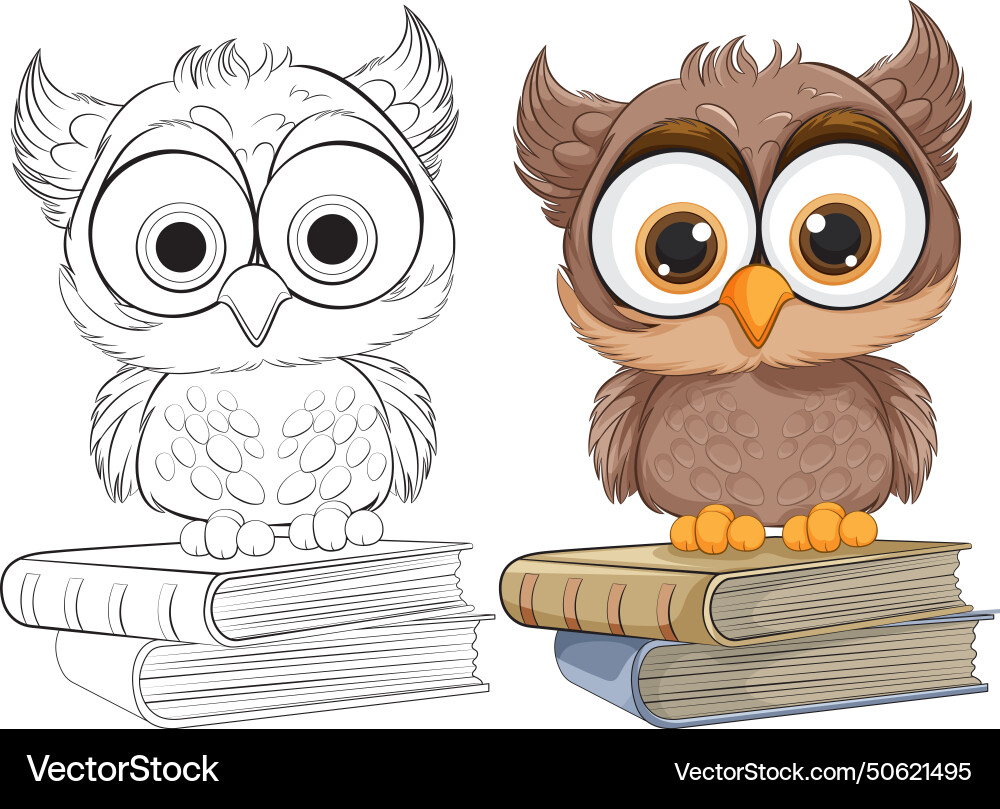 Two cartoon owls perched on stacked books Vector Image