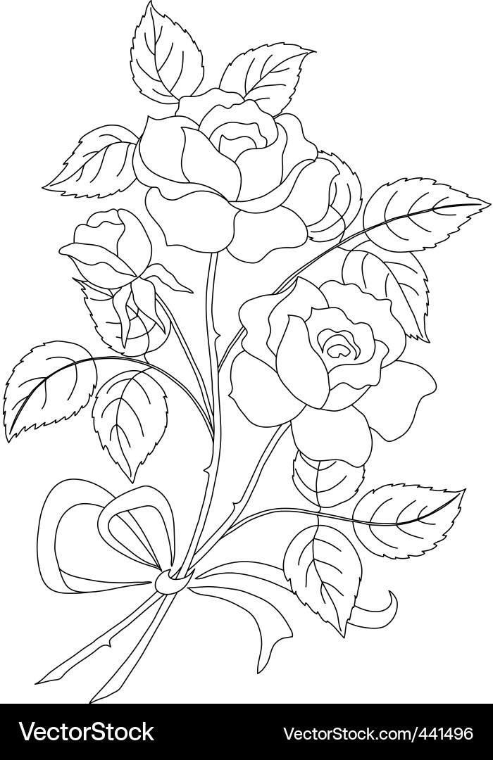 Flowers rose contour Royalty Free Vector Image