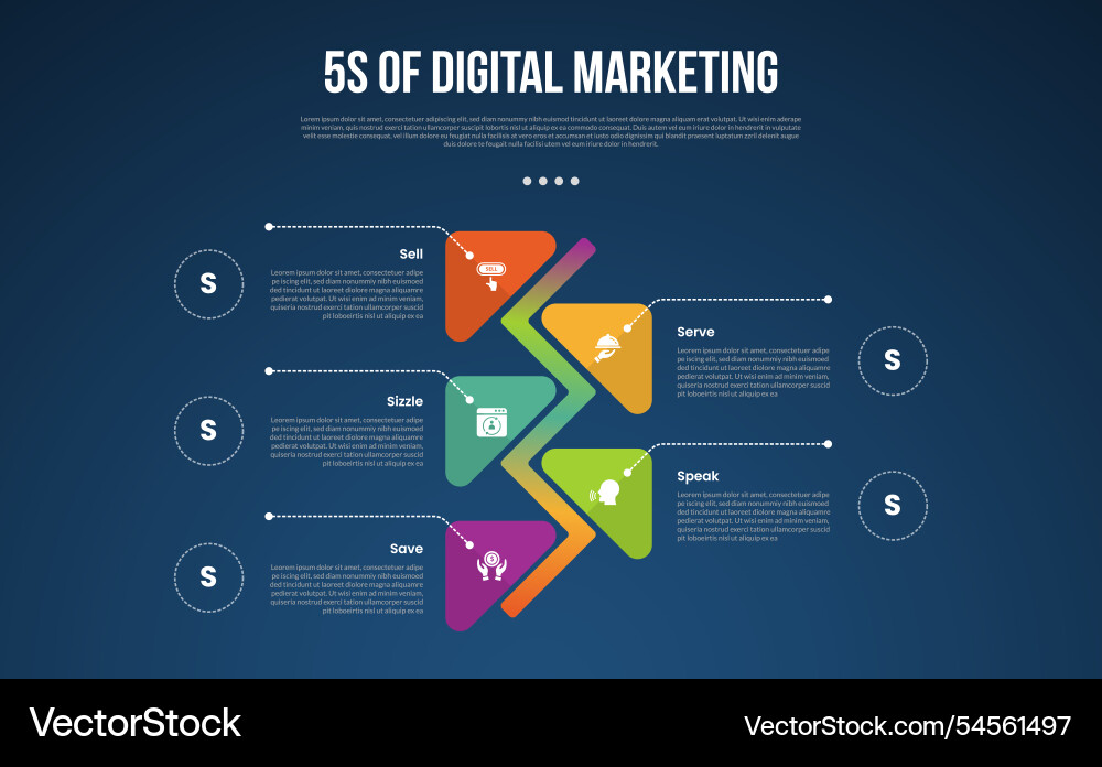 5s digital marketing infographic template Vector Image