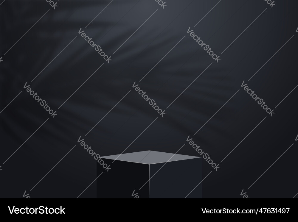 Realistic dark platform with shadow overlay Vector Image