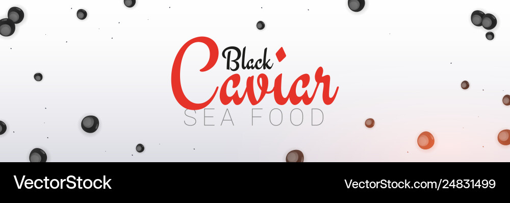Black caviar banner delicious seafood background Vector Image