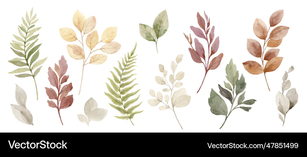 Watercolor set of fall branches isolated Vector Image