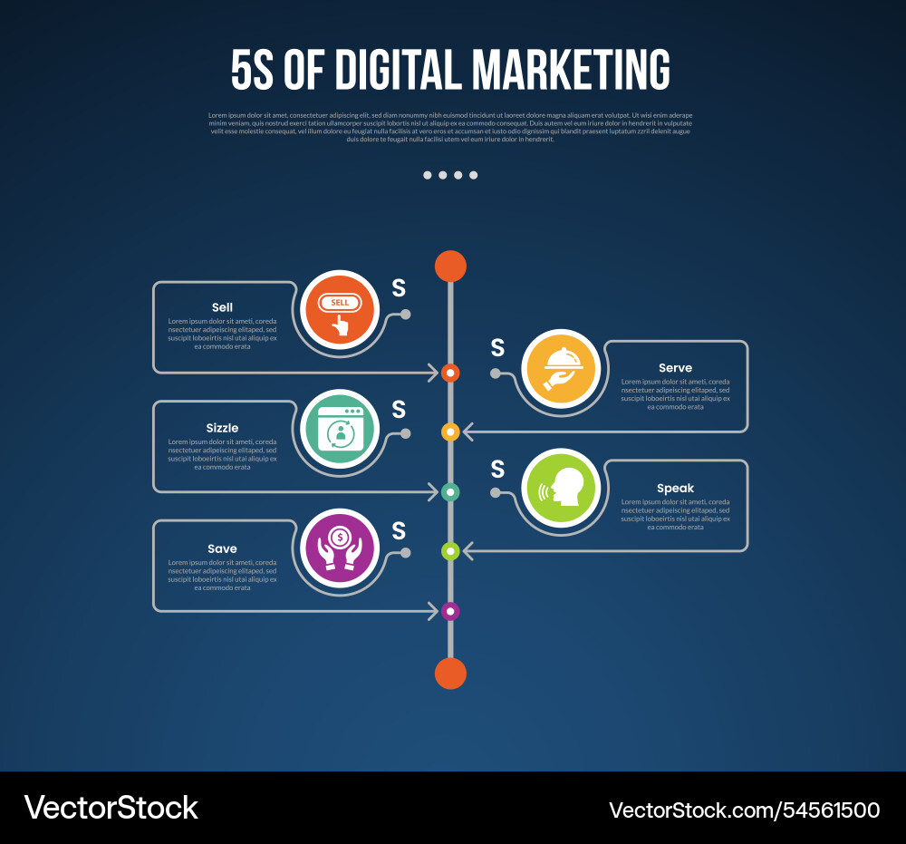 5s digital marketing infographic template Vector Image