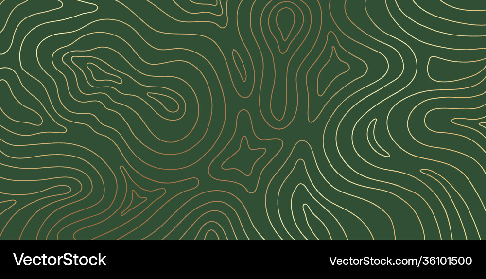 Abstract gold topographic lines green background Vector Image