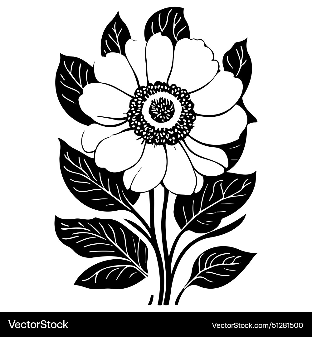 Anemone flower sketch Royalty Free Vector Image