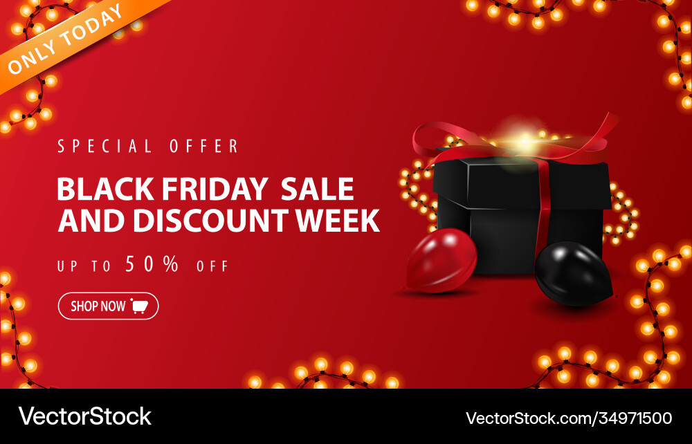 Only today special offer black friday sale Vector Image