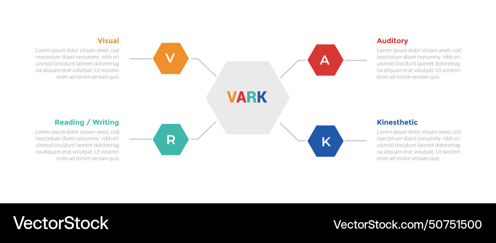 Vark learning styles infographics template Vector Image
