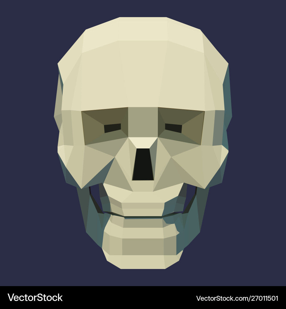Human skull low poly Royalty Free Vector Image