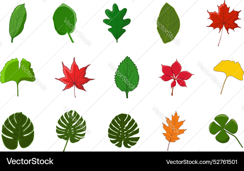 Leaf leaves Royalty Free Vector Image - VectorStock