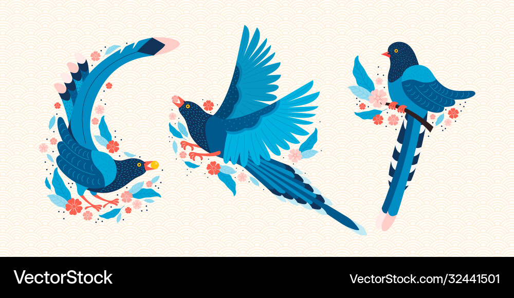 Taiwan blue magpie symbol urocissa Royalty Free Vector Image