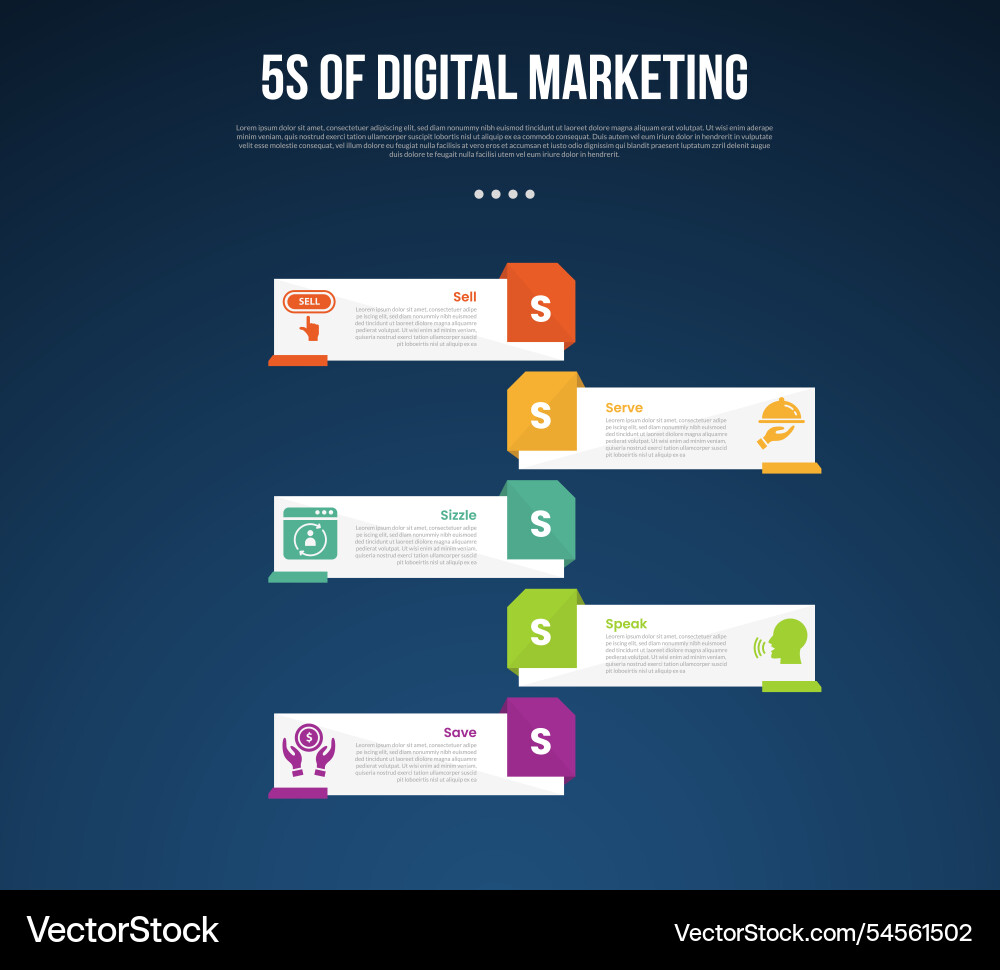 5s digital marketing infographic template Vector Image