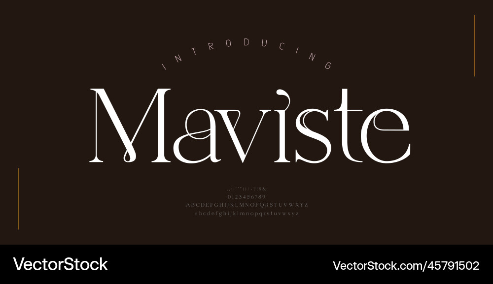 Luxury alphabet letters font classic lettering Vector Image