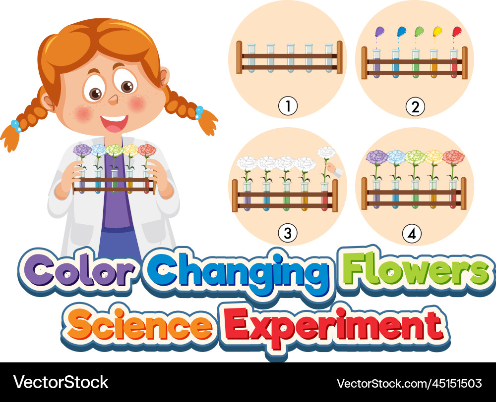 Color changing flowers science experiment Vector Image