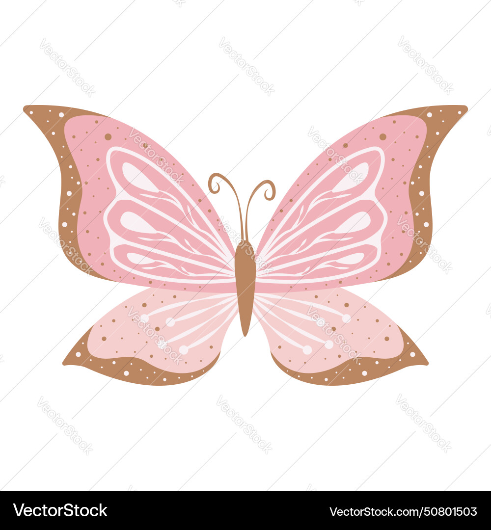 Cute butterfly Royalty Free Vector Image - VectorStock