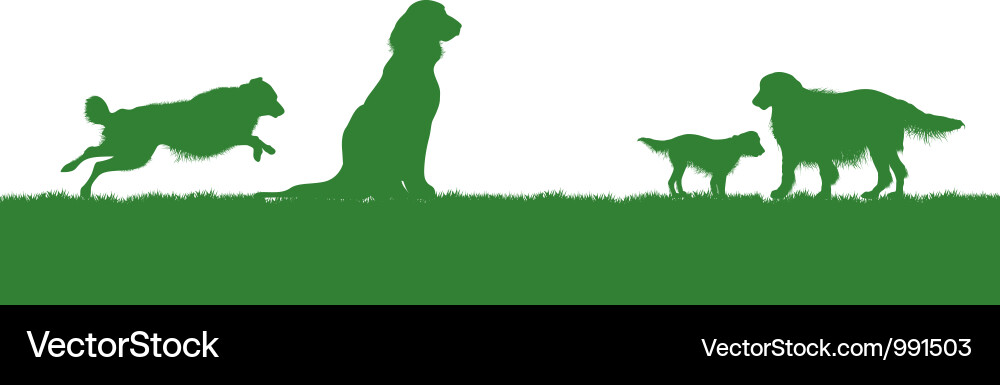 Dog grass background Royalty Free Vector Image