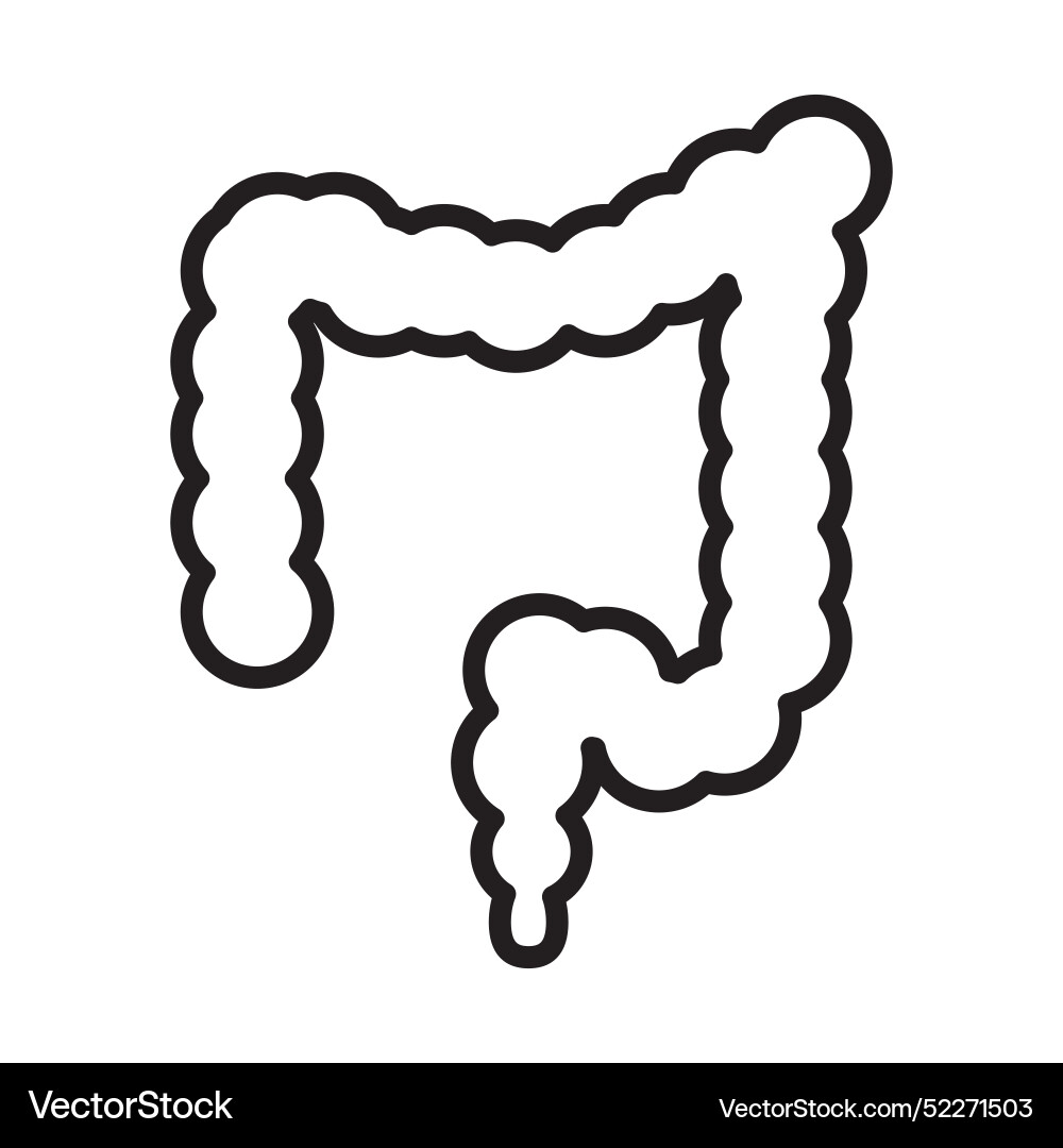 Large intestine icon black line art logo Vector Image