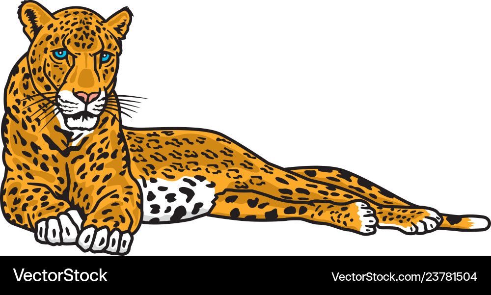 Leopard logo mascot Royalty Free Vector Image - VectorStock