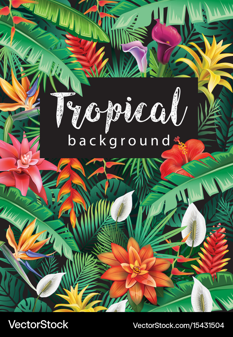 Tropical Flowers Background Royalty Free Vector Image